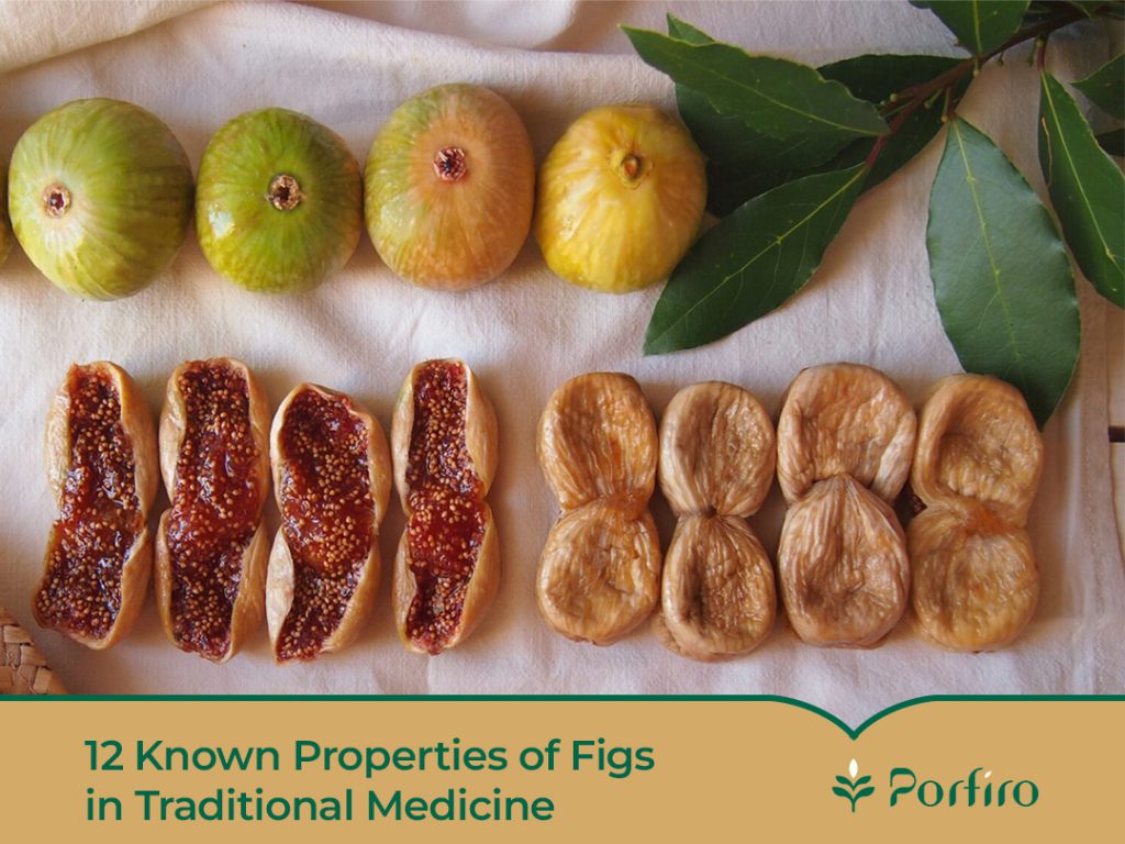 12 Interesting Properties of Figs in Traditional Medicine: Historical ...