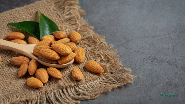 Almond, the Story of Its Origin and 2 Varieties of this plan