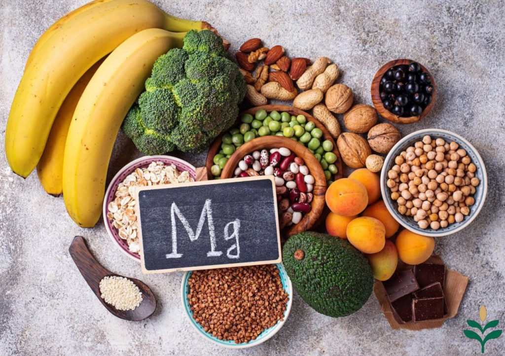 Vital Importance of Magnesium for the Body and 8 different t