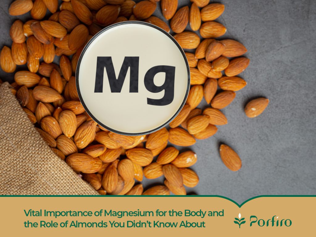 Vital Importance of Magnesium for the Body and 8 different t