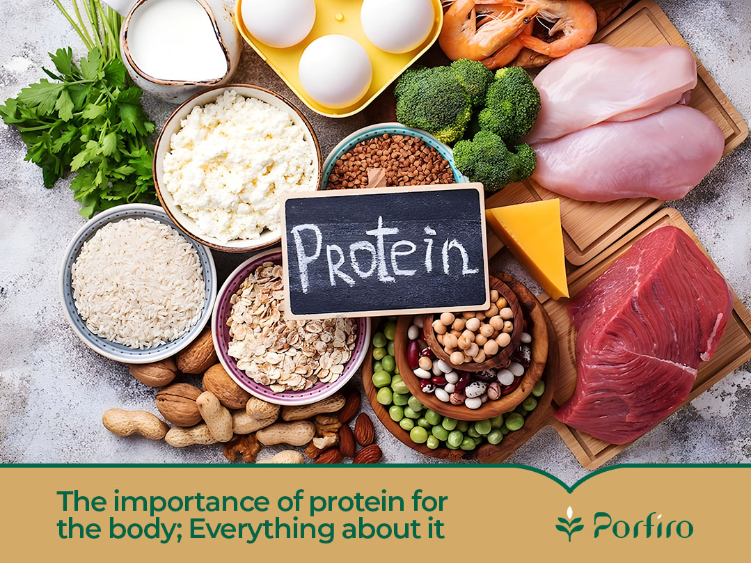 The importance of protein and 7 food sources containing it
